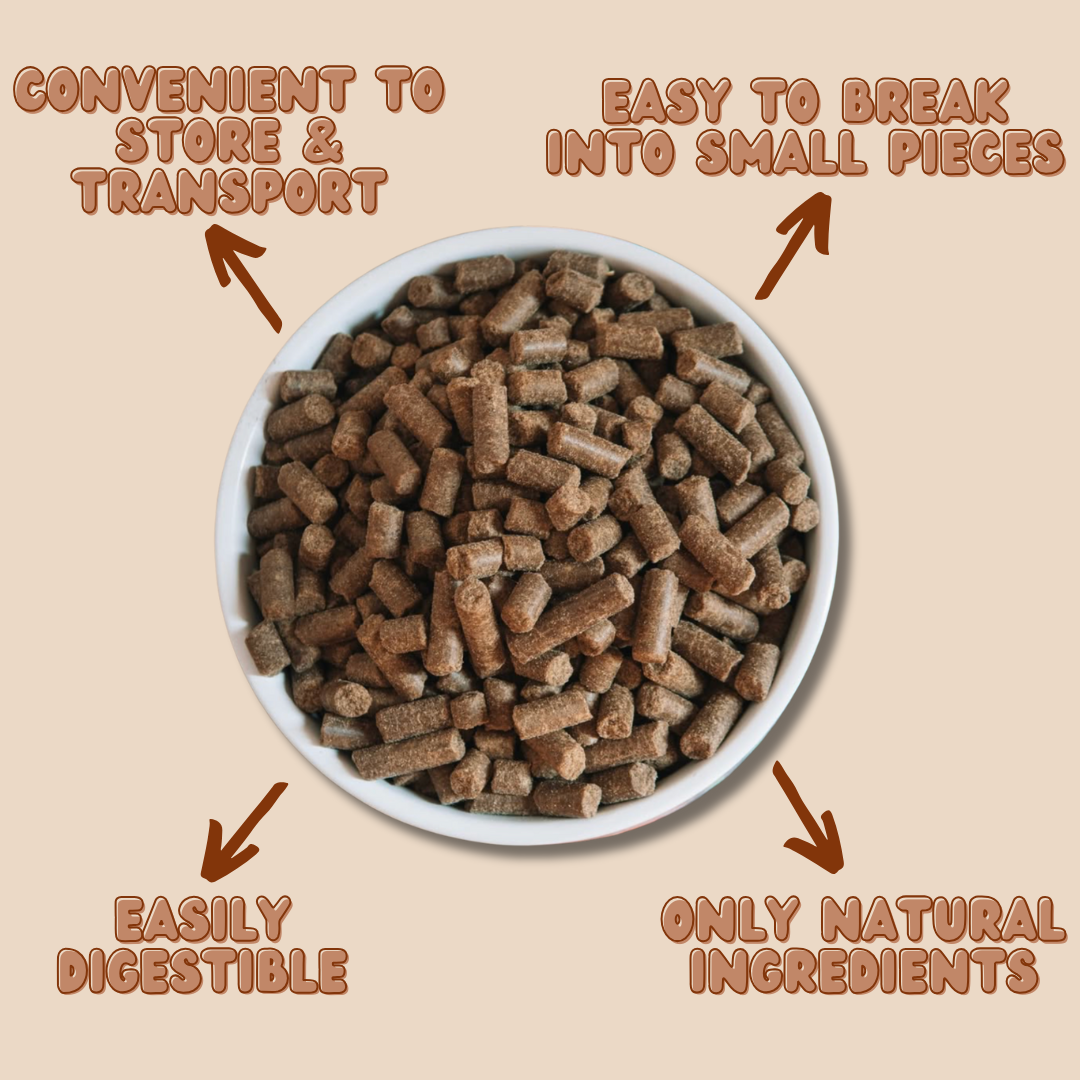 Large 80/20 Variety Bundle – WILD Pet Food